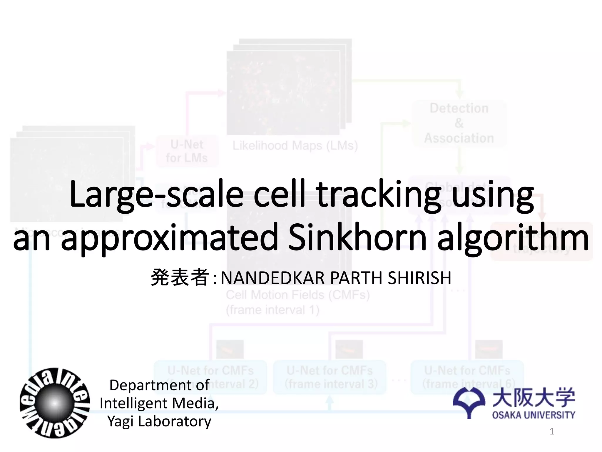 Large scale cell tracking using an approximated Sinkhorn algorithm | PPT