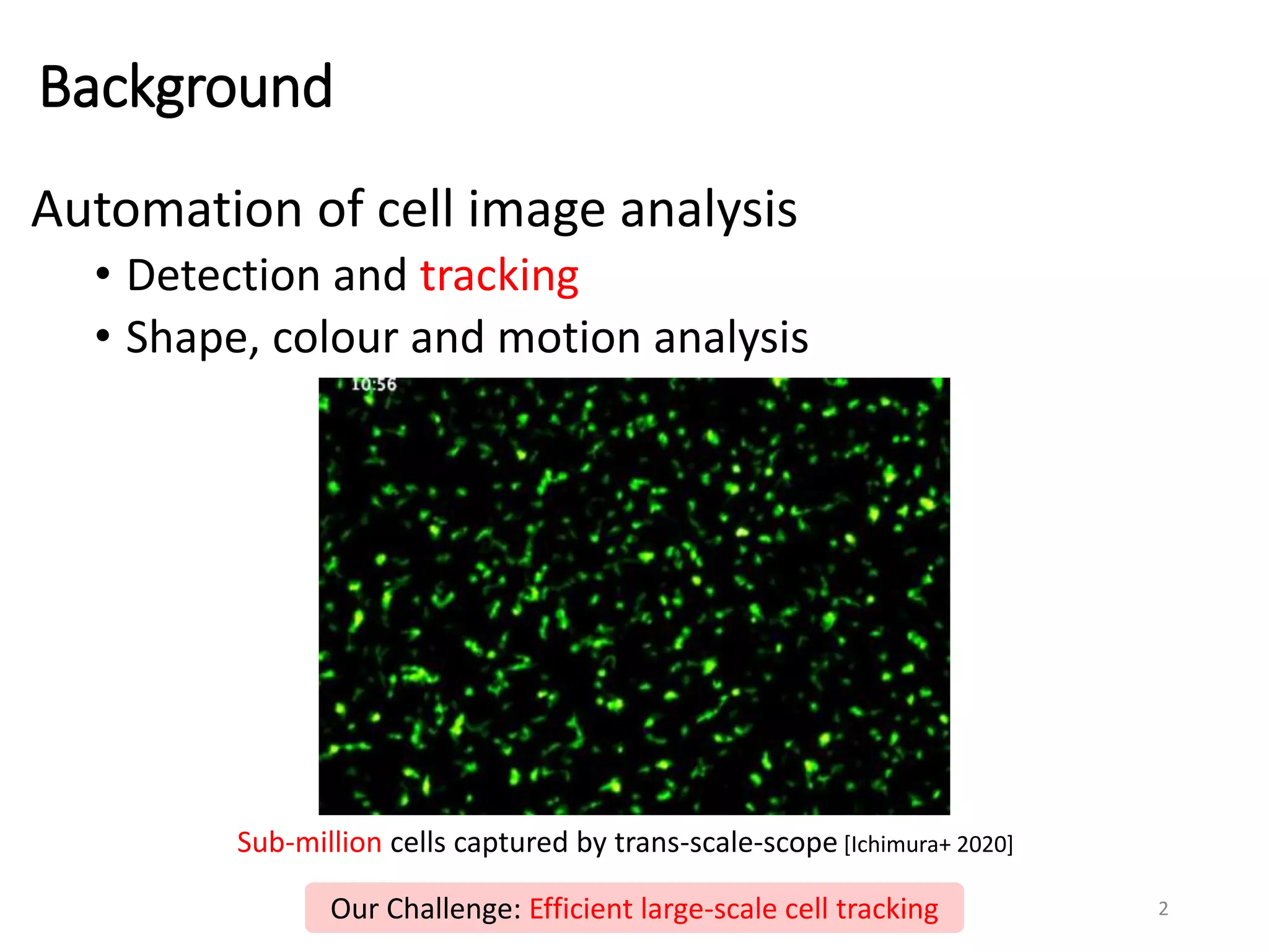 Large Scale Cell Tracking Using An Approximated Sinkhorn Algorithm Ppt