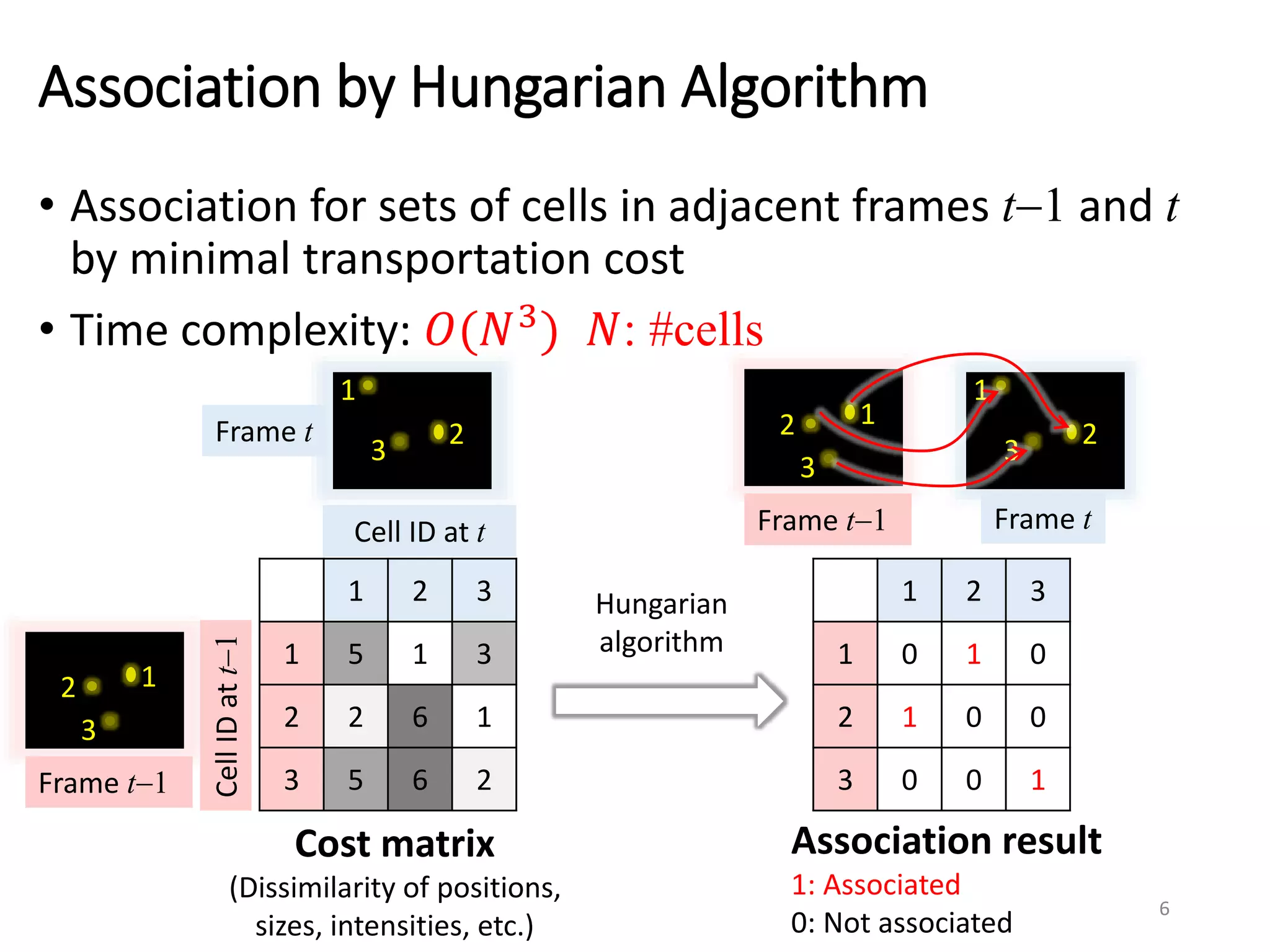 Large Scale Cell Tracking Using An Approximated Sinkhorn Algorithm Ppt