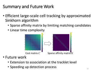 Large scale cell tracking using an approximated Sinkhorn algorithm | PPT