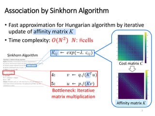Large scale cell tracking using an approximated Sinkhorn algorithm | PPT