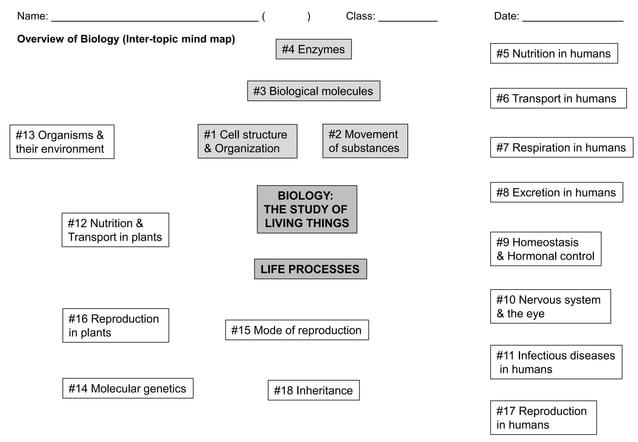 Overall Biology mindmap.pdf human reproduction | PPT
