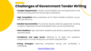 Strategies for Success in Overcoming Government Tender Writing ...