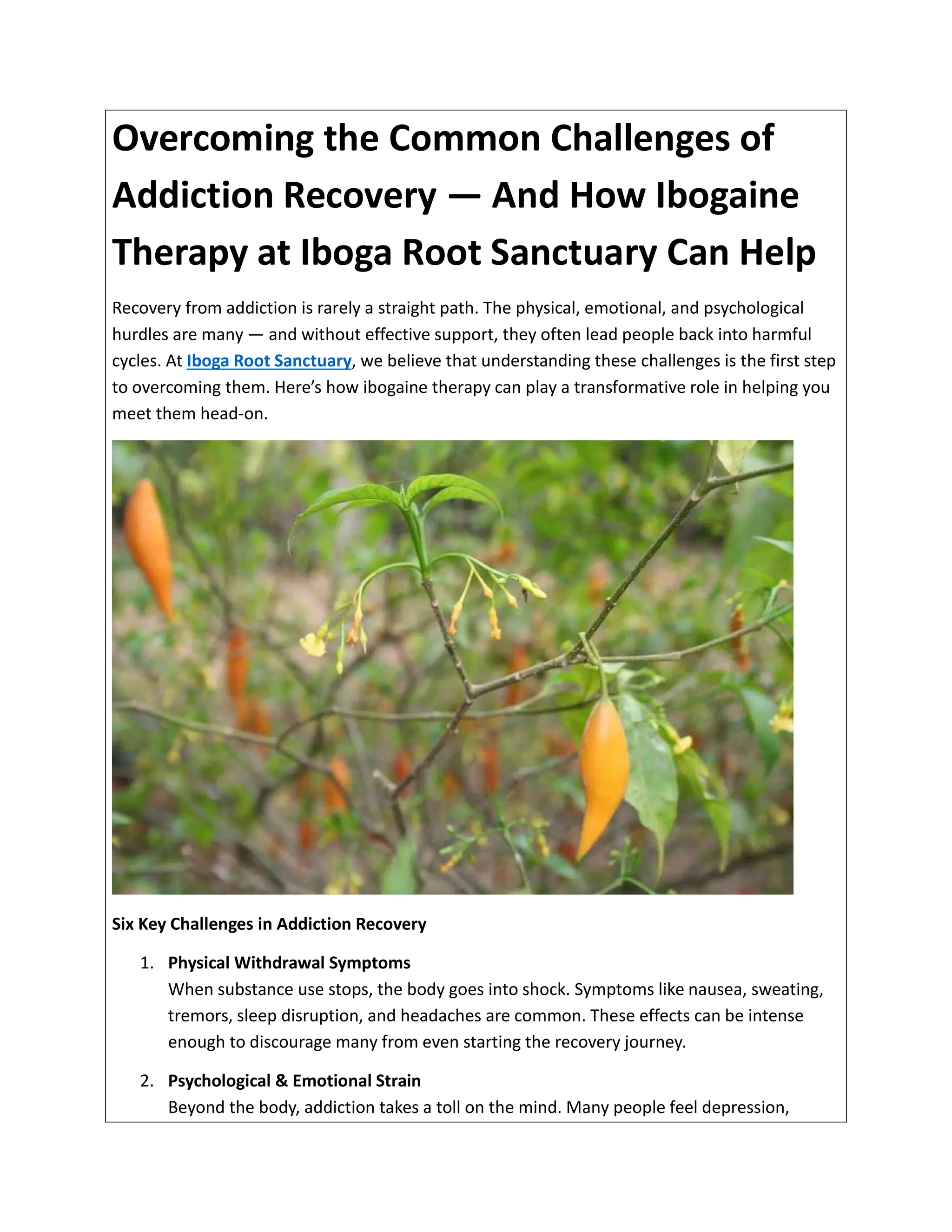 Overcoming the Common Challenges of Addiction Recovery — And How ...