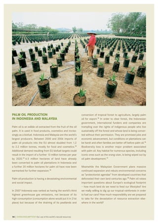 Overconsumption: Our use of the Worlds Natural Resources | PDF