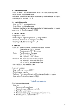 Anatomy of the upper extremities - name, origin & insertion and ...