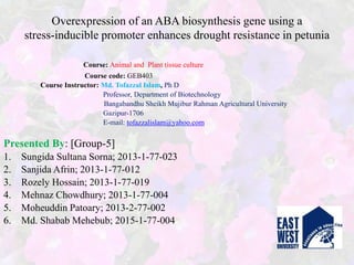 Overexpression of an ABA biosynthesis gene using a stress-inducible ...