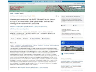 Overexpression of an ABA biosynthesis gene using a stress-inducible ...