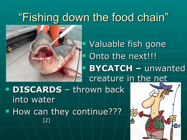 Overfishing | PPT | Fishing Sports | Sports