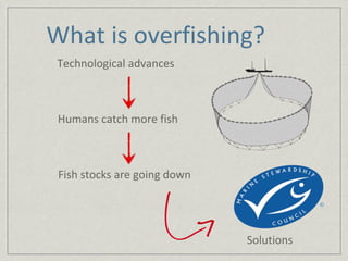 Overfishing | PPT