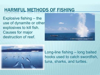 Over fishing by, abdal rahman malik | PPTX