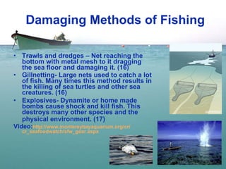 Overfishing by yuliya_miryana_bedros | PPT