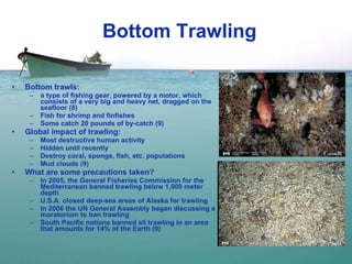 Overfishing by yuliya_miryana_bedros | PPT