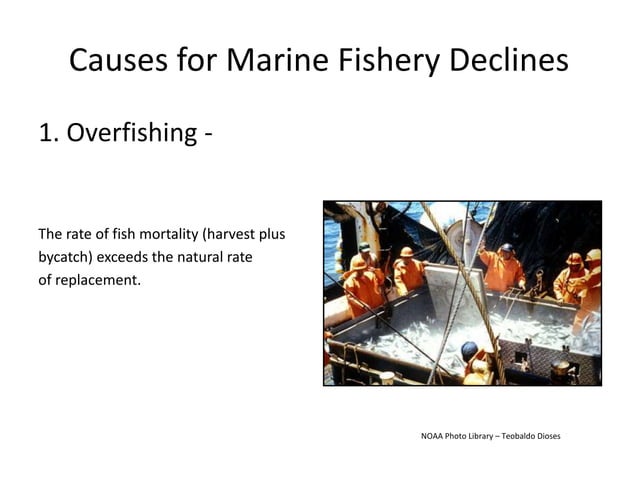 Overfishing | PPTX