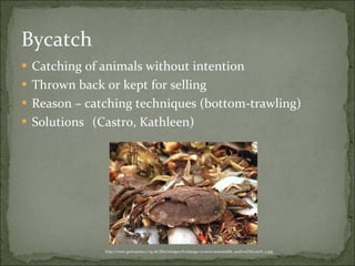 Overfishing stoyan elia_nadezhda_10-5 | PPT