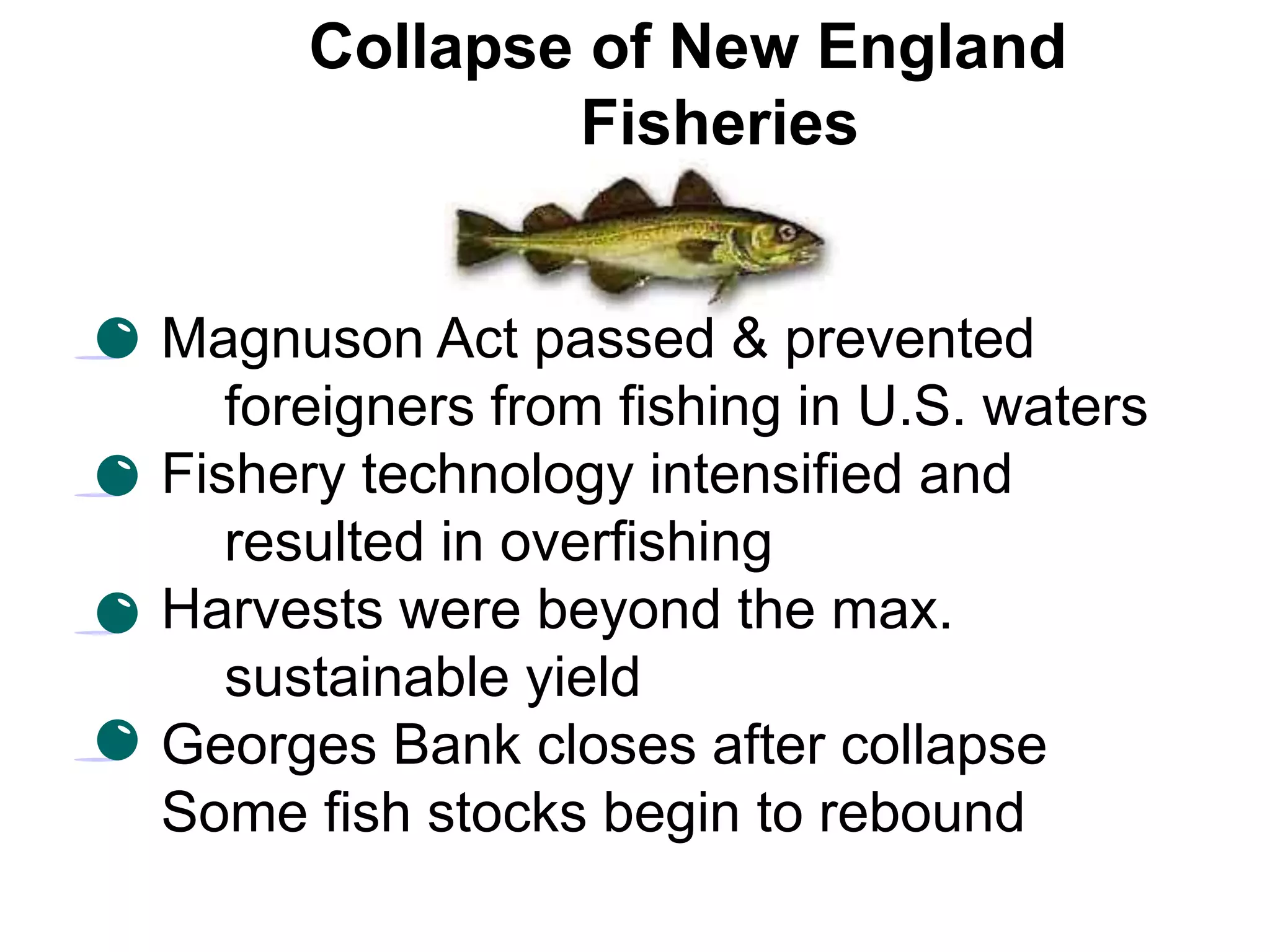 overfishing.ppt