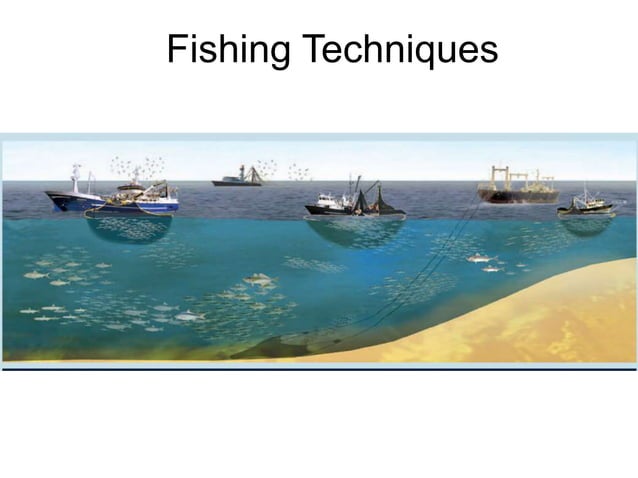 overfishing.ppt
