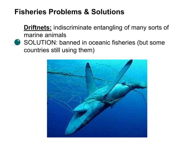overfishing.ppt