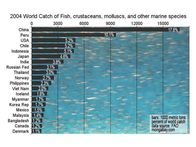 overfishing.ppt
