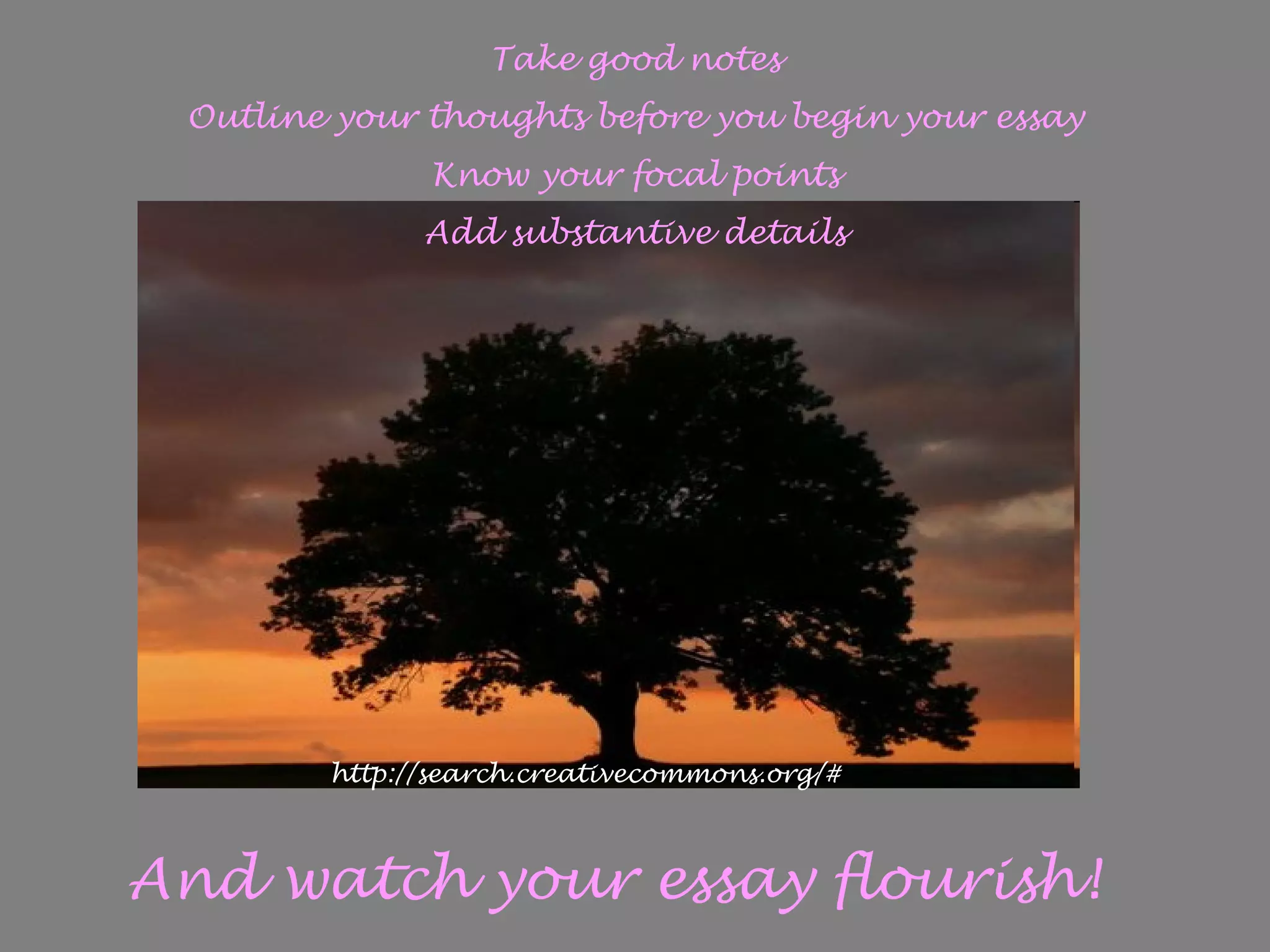 Avoiding Overgeneralizing | PPT