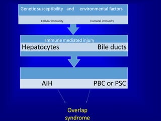 Overlap syndrome | PDF