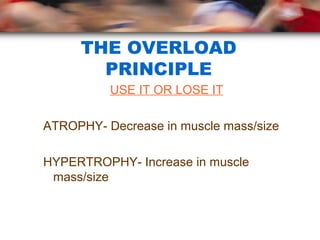 Overload principle | PPT
