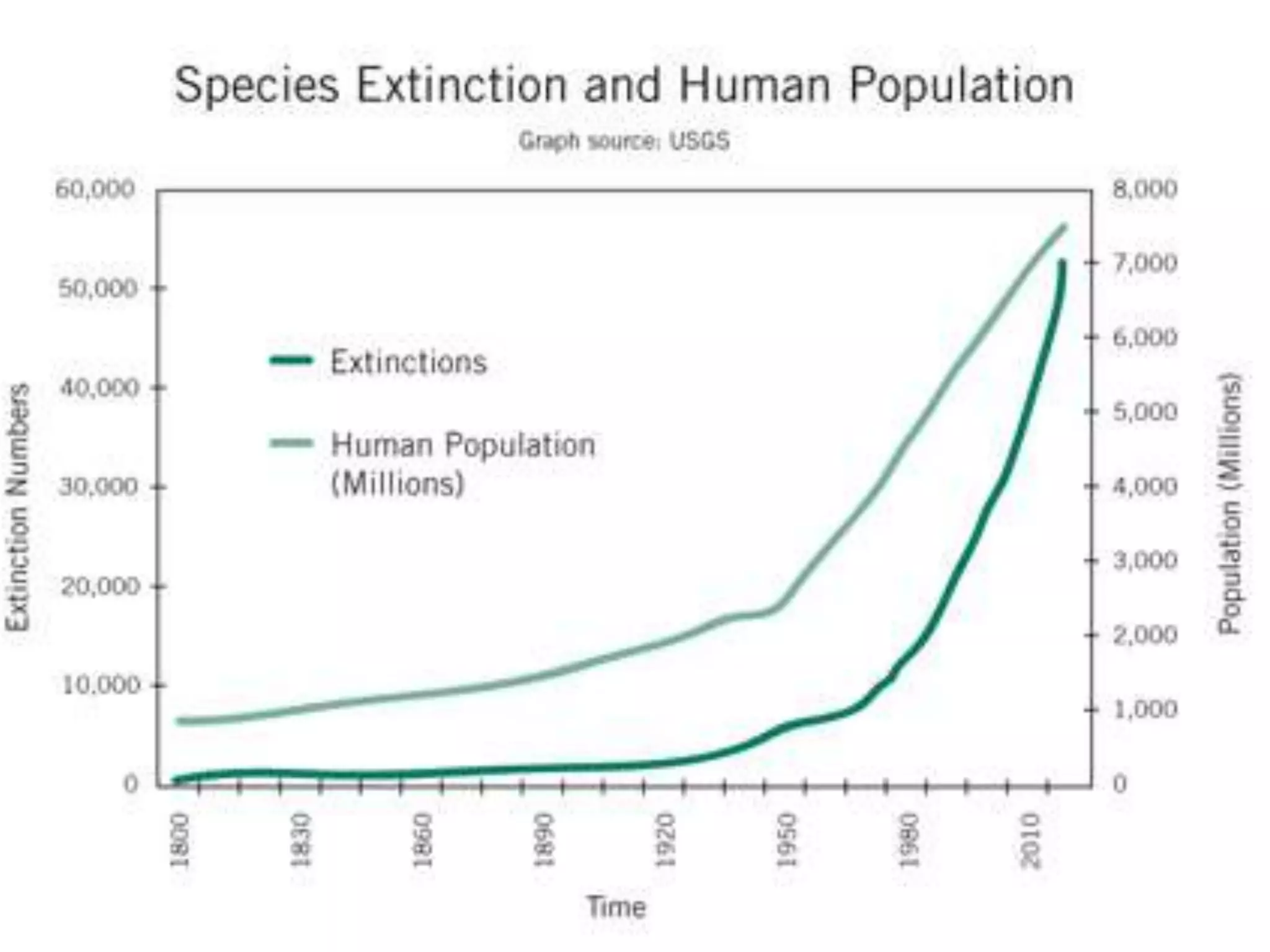 Overpopulation | PPTX