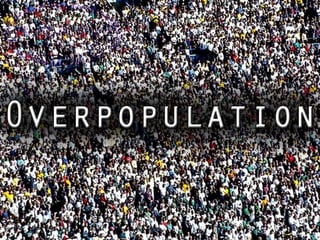 Overpopulation | PPTX | Agriculture | Industries