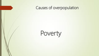 Overpopulation | PPTX