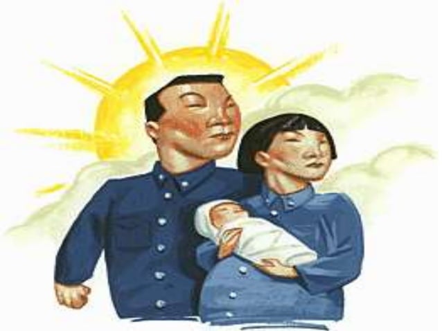 Overpopulation.ppt | Science