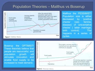 Overpopulation and underpopulation | PPTX