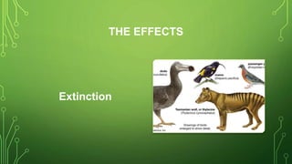 Overpopulation effect on environment | PPTX