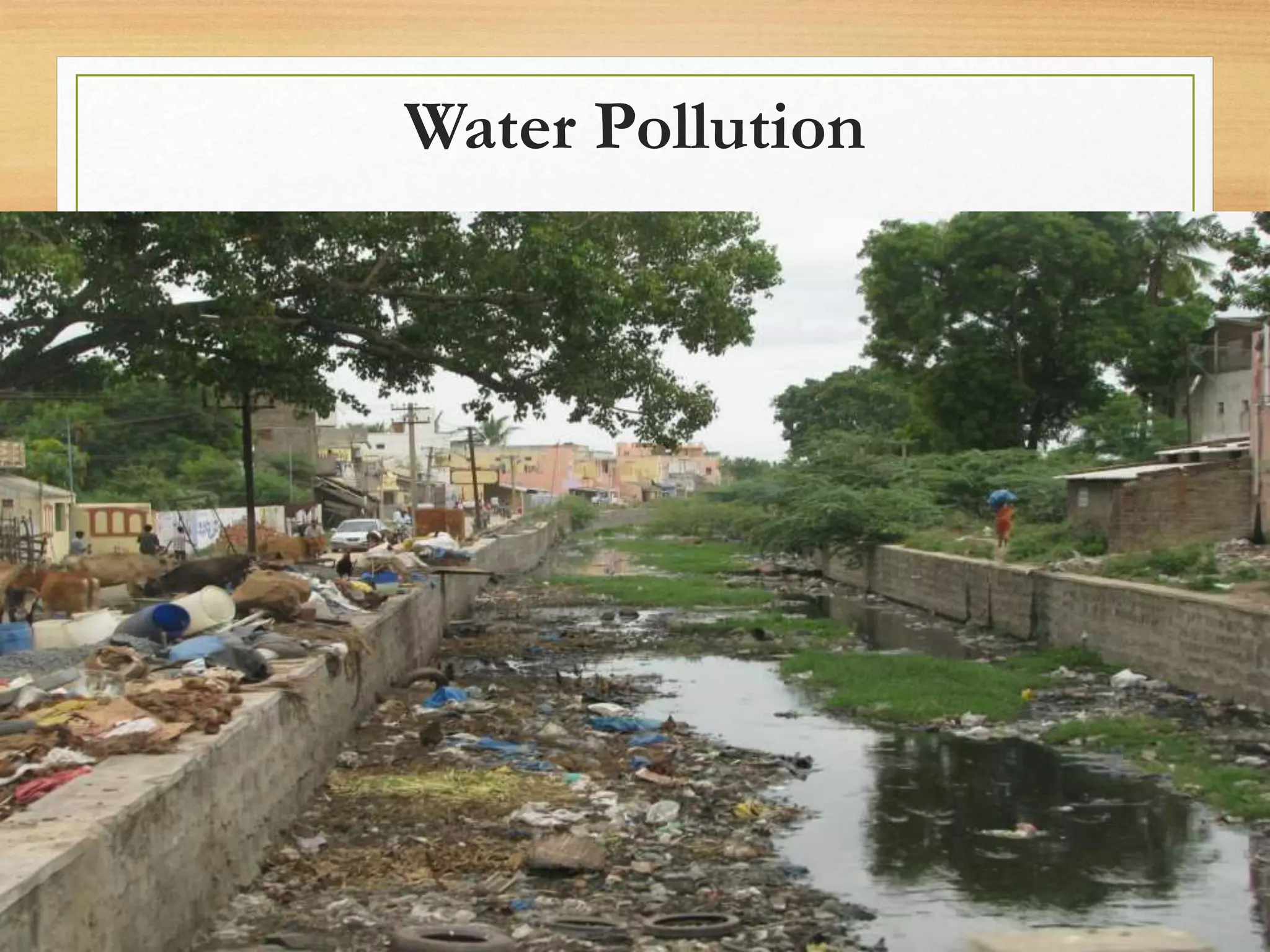 Overpopulation and its impacts | PPTX