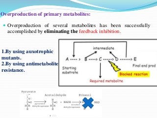 Over production of primary and secondary metabolites | PPTX
