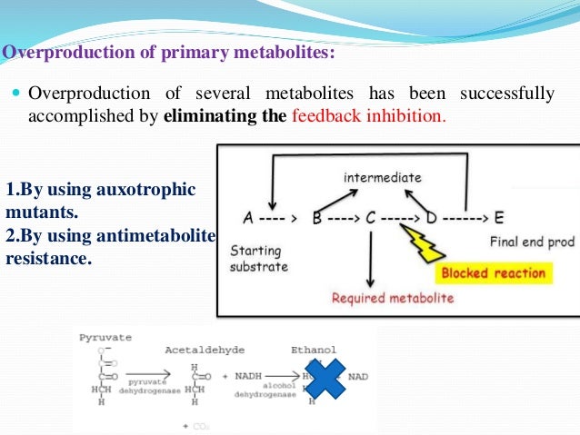 Over production of primary and secondary metabolites | PPTX