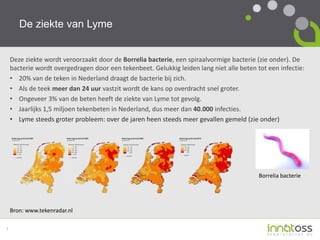 Over teken, de ziekte van lyme en diagnostiek | PPTX