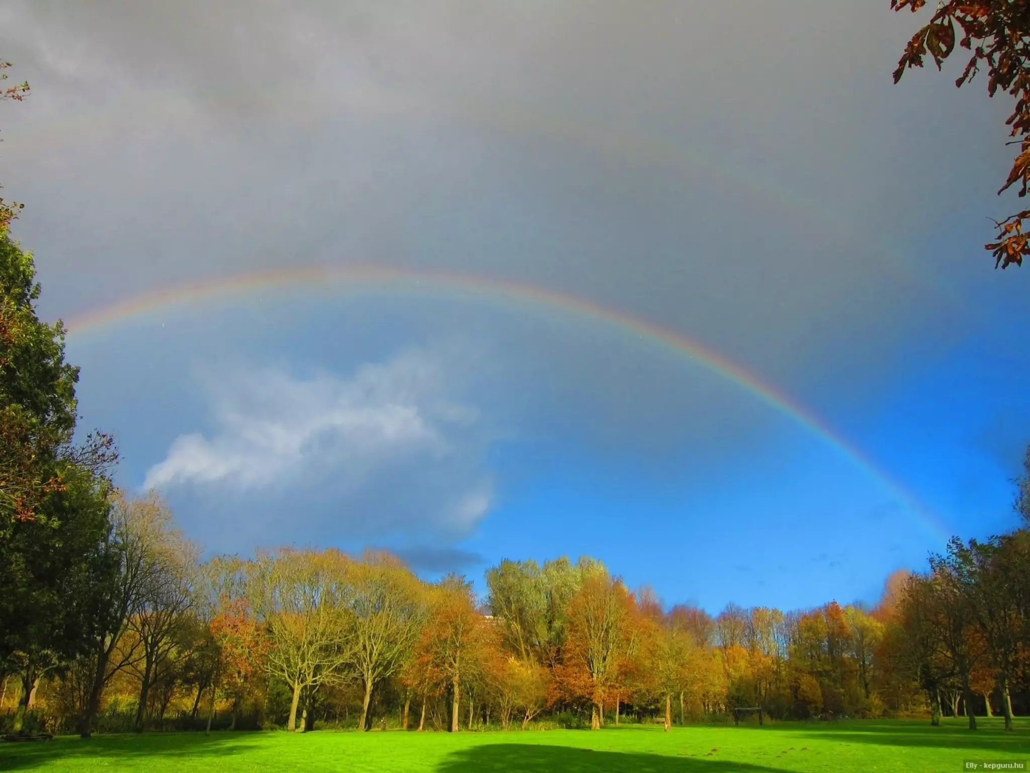 Over the rainbow | PPT