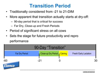 Far Off To Fresh Cow- Opportunities to Improve Transition Performance ...