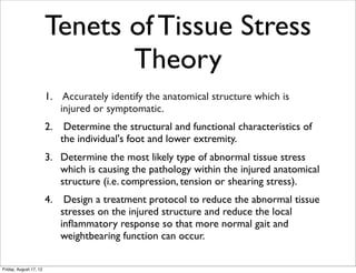 Overuse Bone and Tendon Injuries - Science and Theories of Tomorrow | PDF