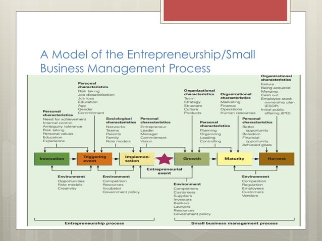 OVERVIEW of managing small business.pptx