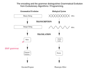 Using Grammatical Evolution to develop trading rules | ODP
