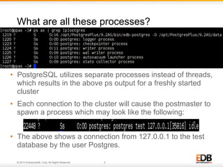 Overview of Postgres Utility Processes | PDF