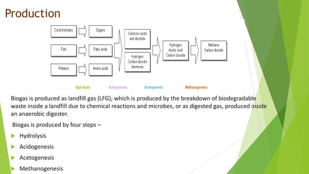 biogas | PPTX | Chemistry | Science