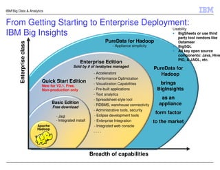 Overview - IBM Big Data Platform | PDF