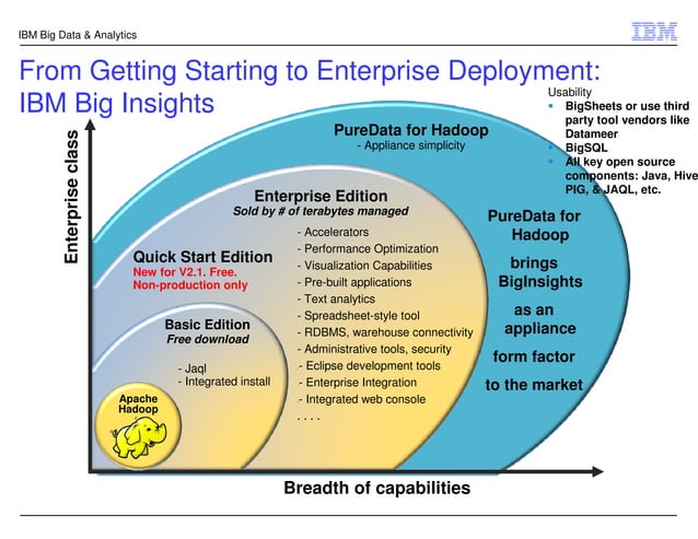 Overview - IBM Big Data Platform | PDF