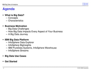 Overview - IBM Big Data Platform | PDF