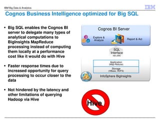 Overview - IBM Big Data Platform | PDF