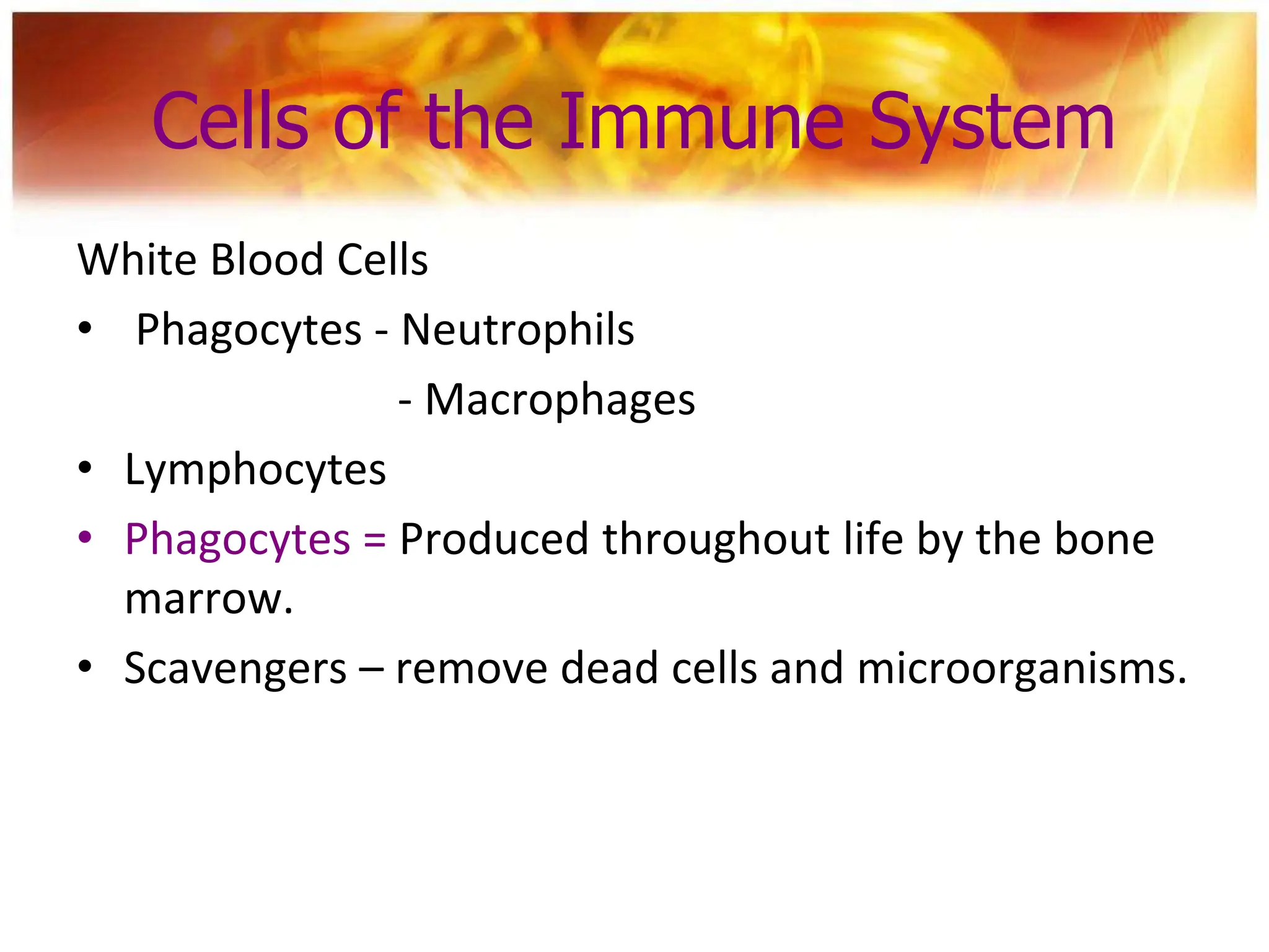 PowerPoint presentation of immunology and serology | PPT