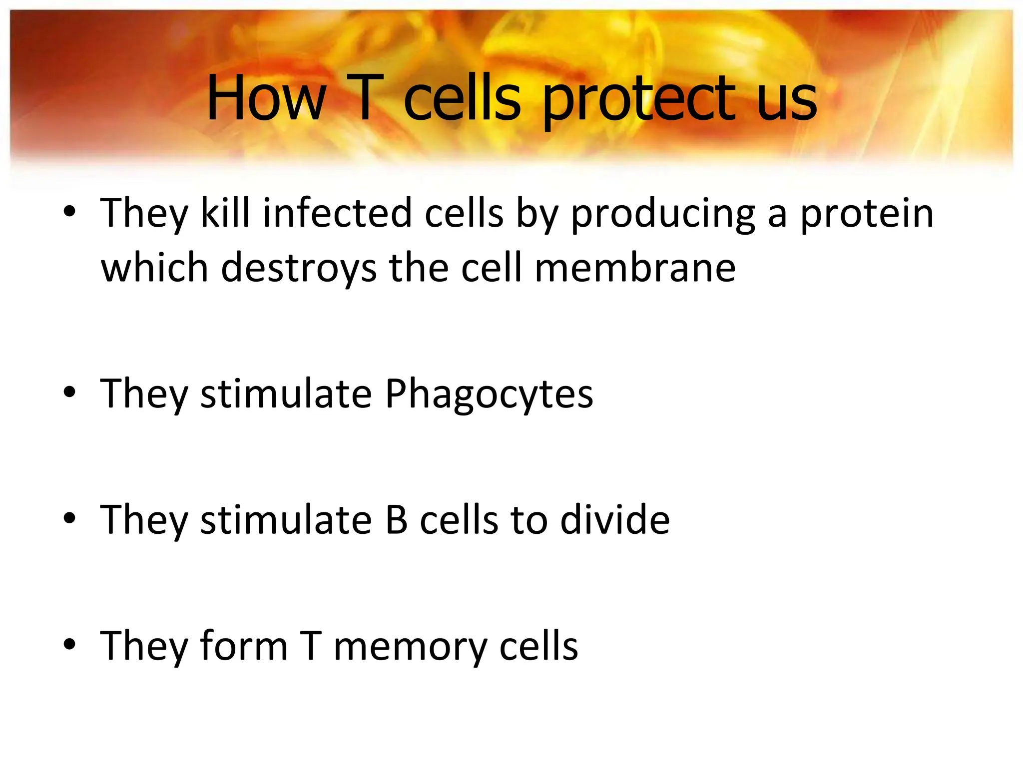 PowerPoint presentation of immunology and serology | PPT