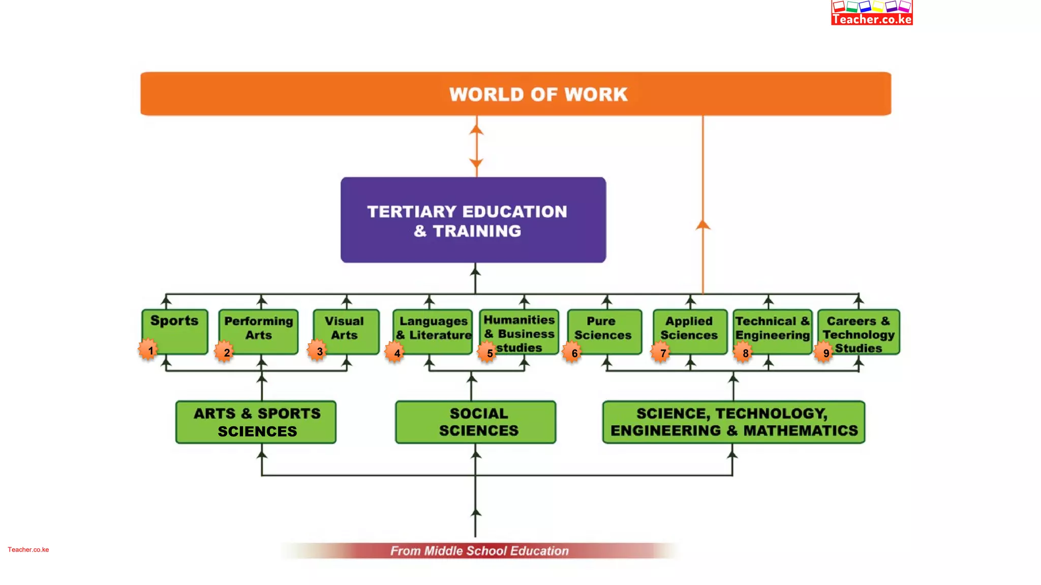 Overview-of-CBC-and-BECF.pdf